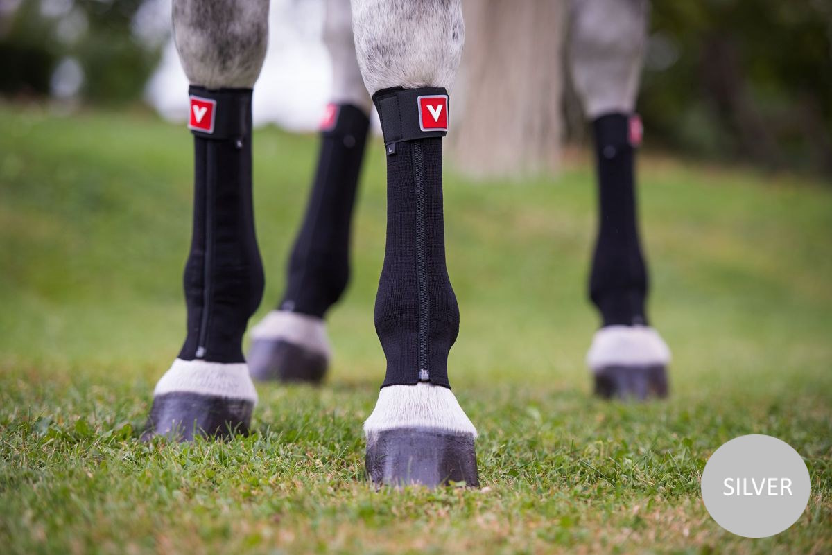Bandage VETOFLEX Classic STANDARD Silver front right size S